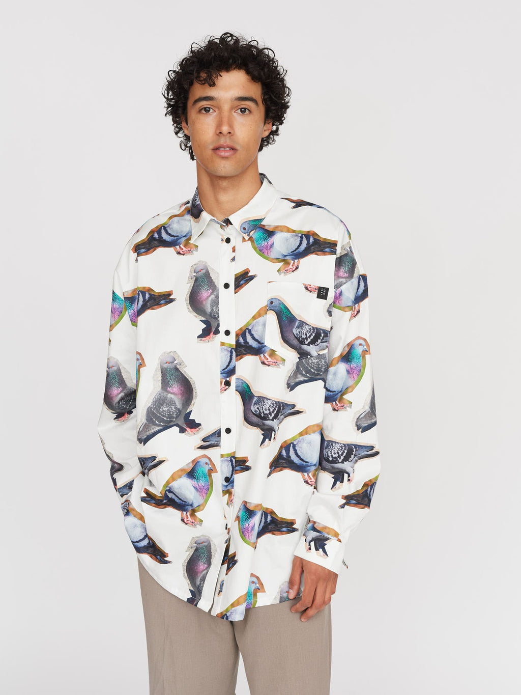 Pigeons Are Pals Shirt – Lazy Oaf